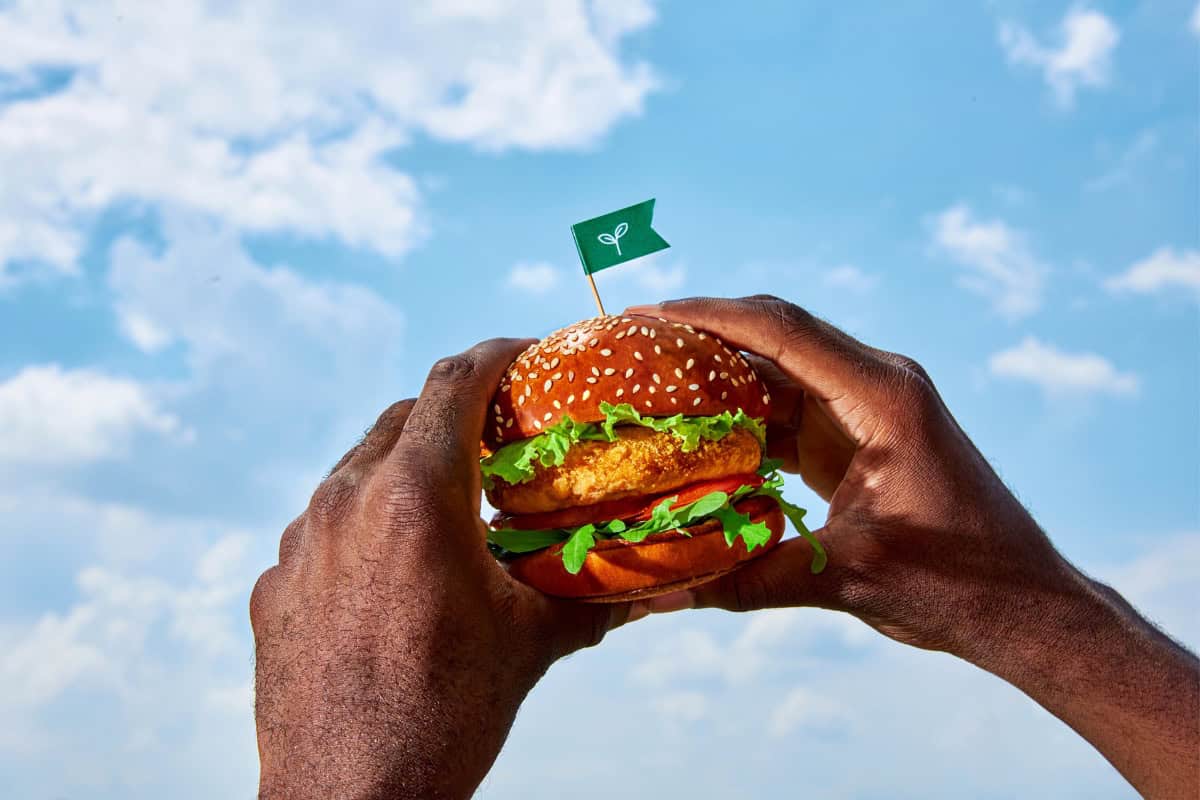 How Plant-Based Diets Are Transforming Food Logistics | Hydropac UK